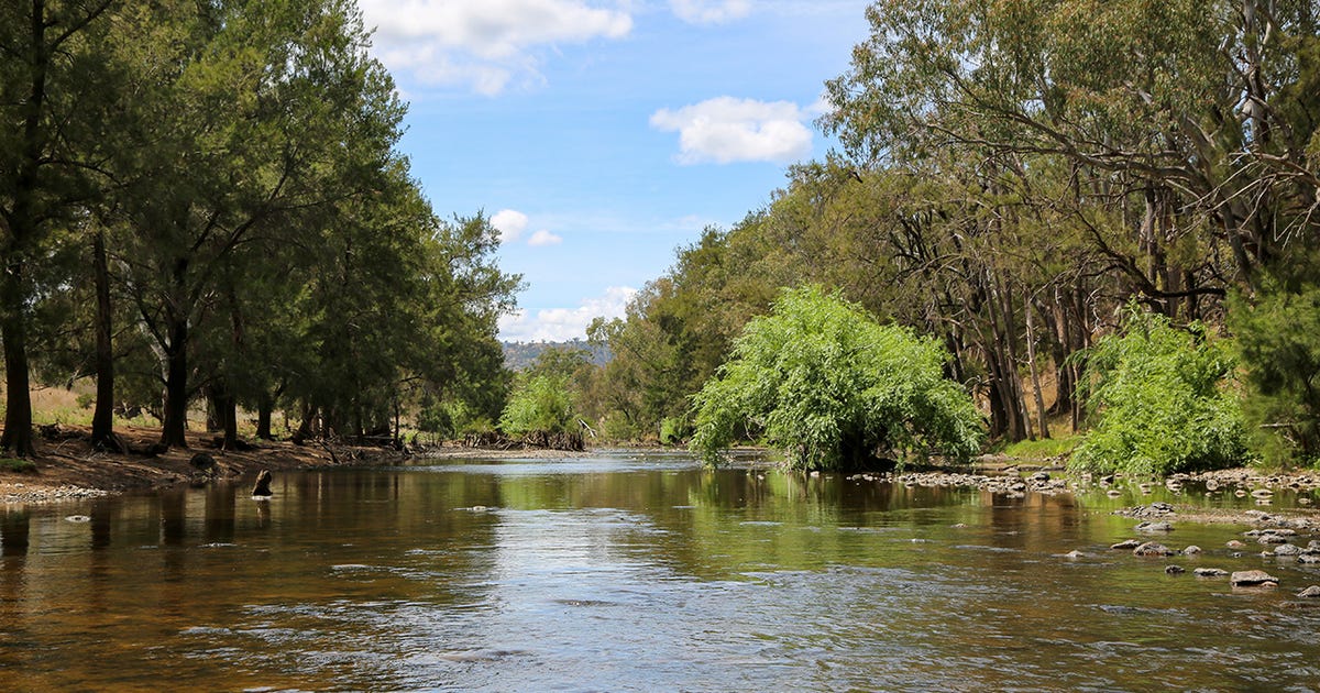2195 Namoi River Road, Namoi River NSW 2346 - property.com.au