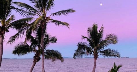 142 Schofield Parade, Keppel Sands QLD 4702 - property.com.au