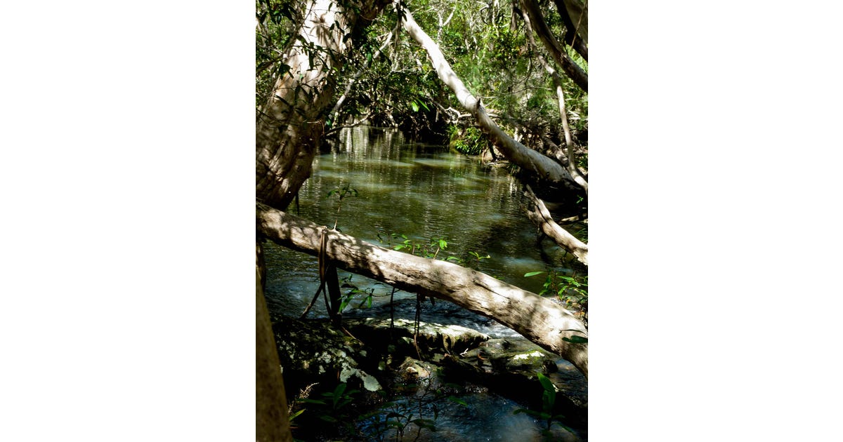 123 Two Chain Road, Koah QLD 4881 - property.com.au