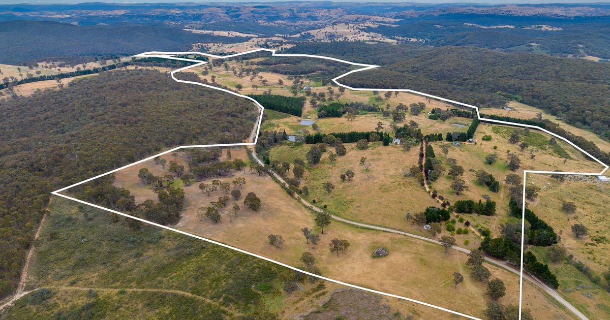 692 Bald Ridge Road, Bald Ridge NSW 2795 - property.com.au