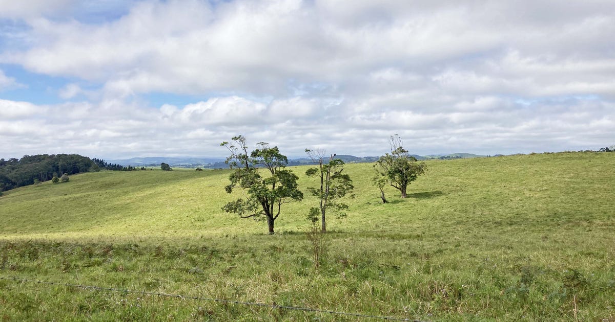 482 Seamark Road, Jaggan QLD 4885 - property.com.au