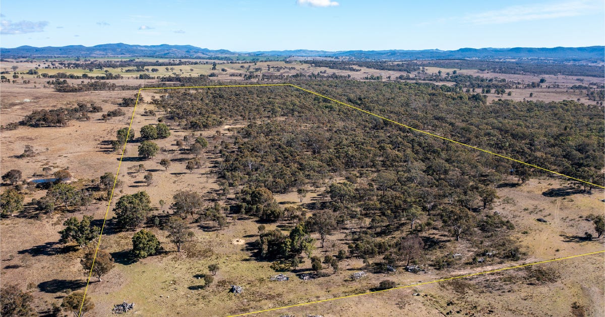 291 Pyangle Road, Camboon NSW 2849 - property.com.au