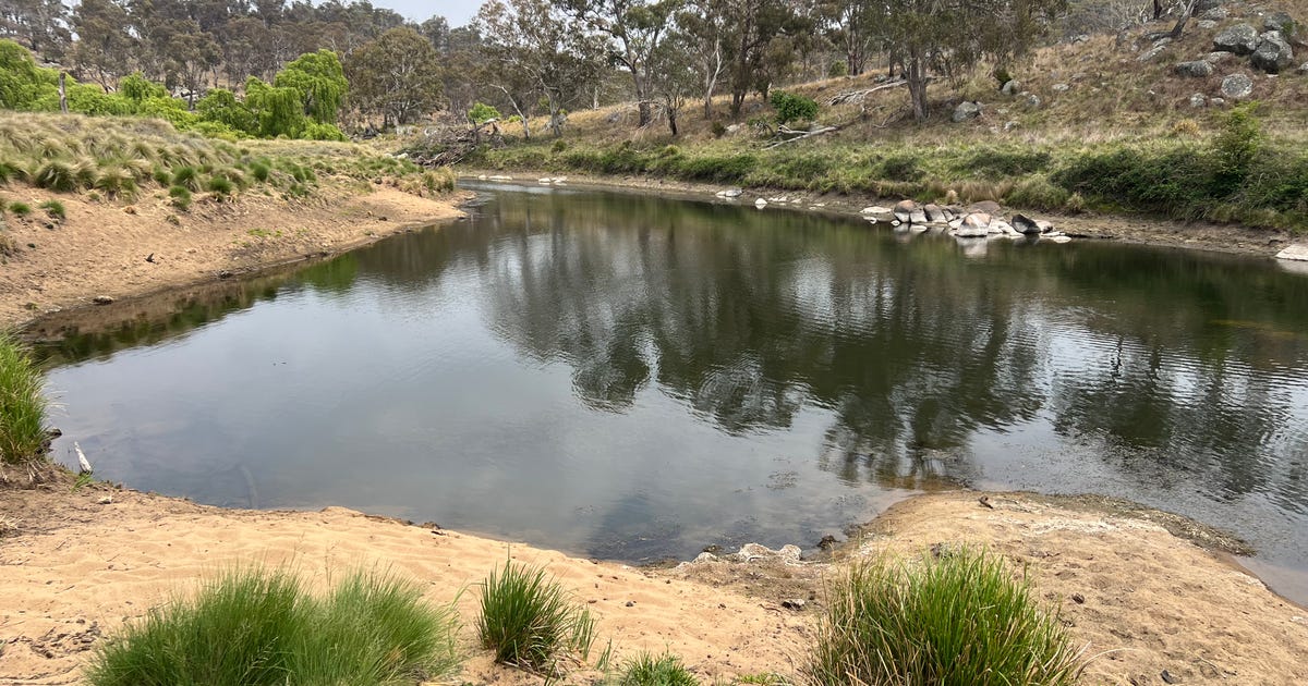 800 Shannon Vale Road, Shannon Vale NSW 2370 - property.com.au