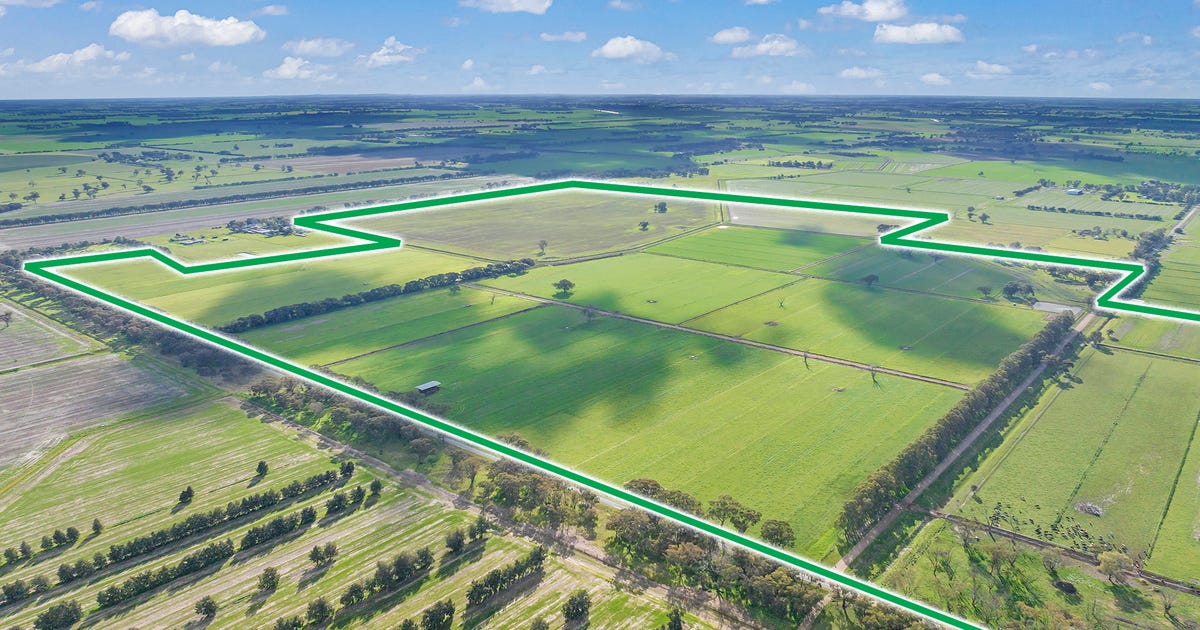 390 Dingee Road, Rochester VIC 3561 - property.com.au