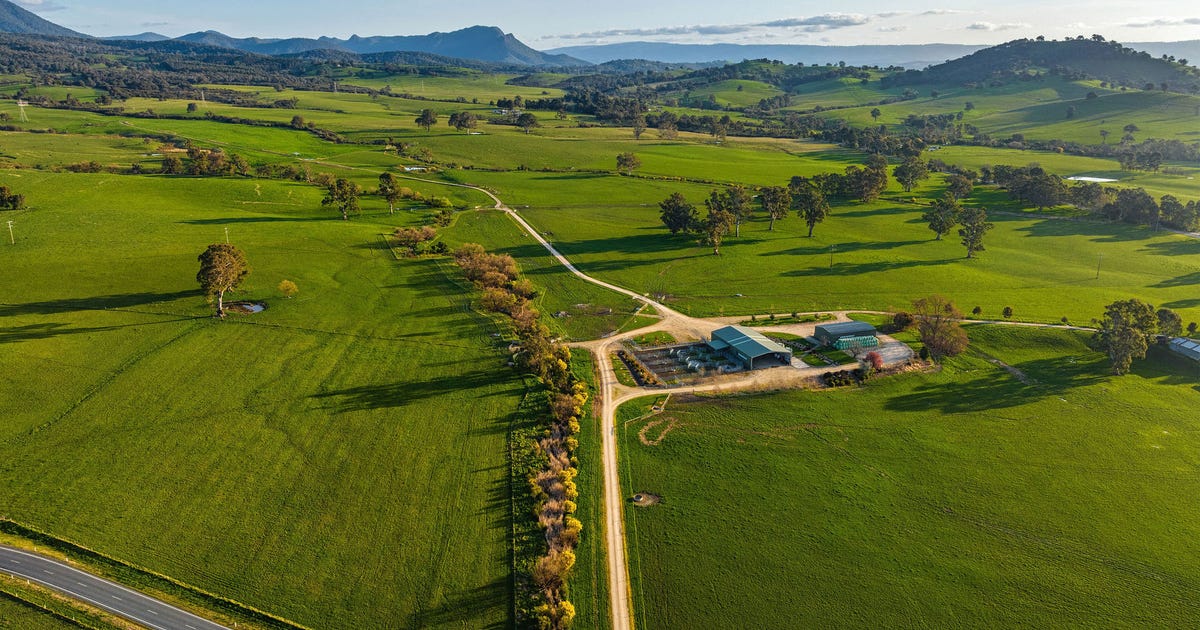 1036 Taggerty-Thornton Road, Thornton VIC 3712 - property.com.au