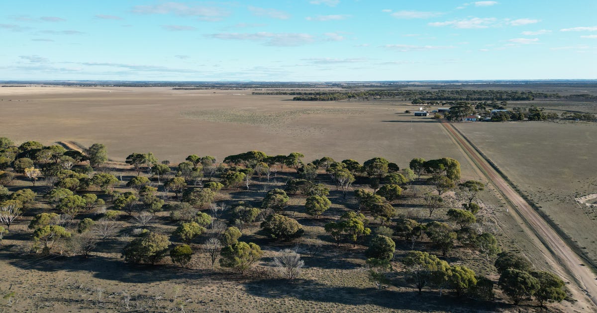 1199 Range Road, Pingrup WA 6343 - property.com.au