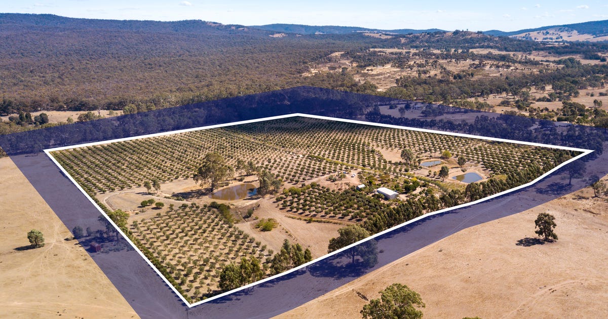 3450 Sunraysia Highway, Stuart Mill VIC 3477 - property.com.au