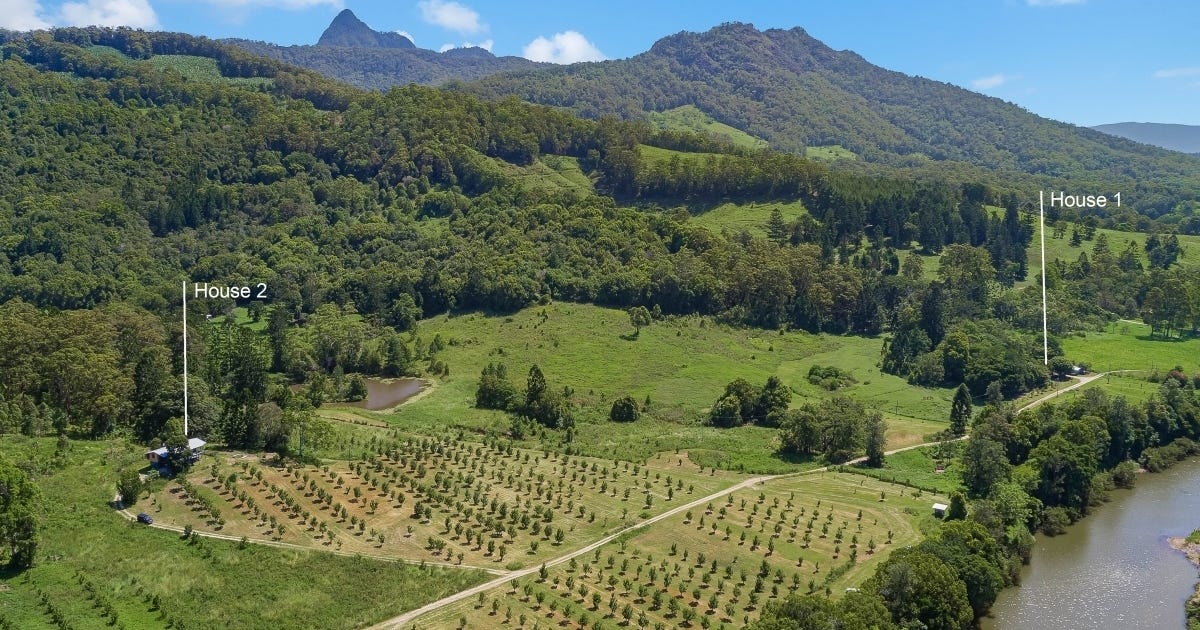 677 Tyalgum Road, Eungella NSW 2484 - property.com.au