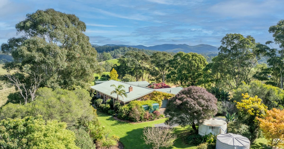 116 Hawks Head Road, Brogo NSW 2550 - property.com.au