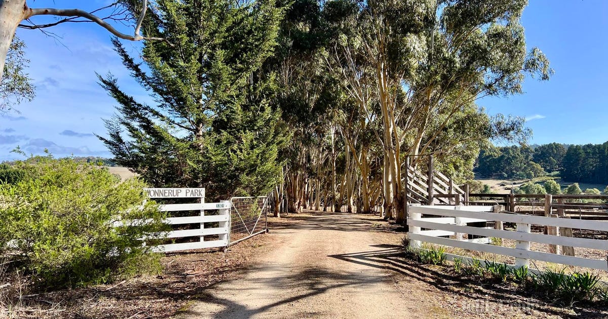 1301 Three Chain Road, Cobaw VIC 3442 - property.com.au