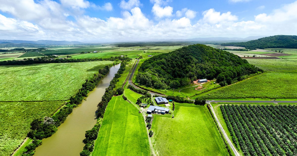 430 Cowley Beach Road, Lower Cowley QLD 4871 - property.com.au