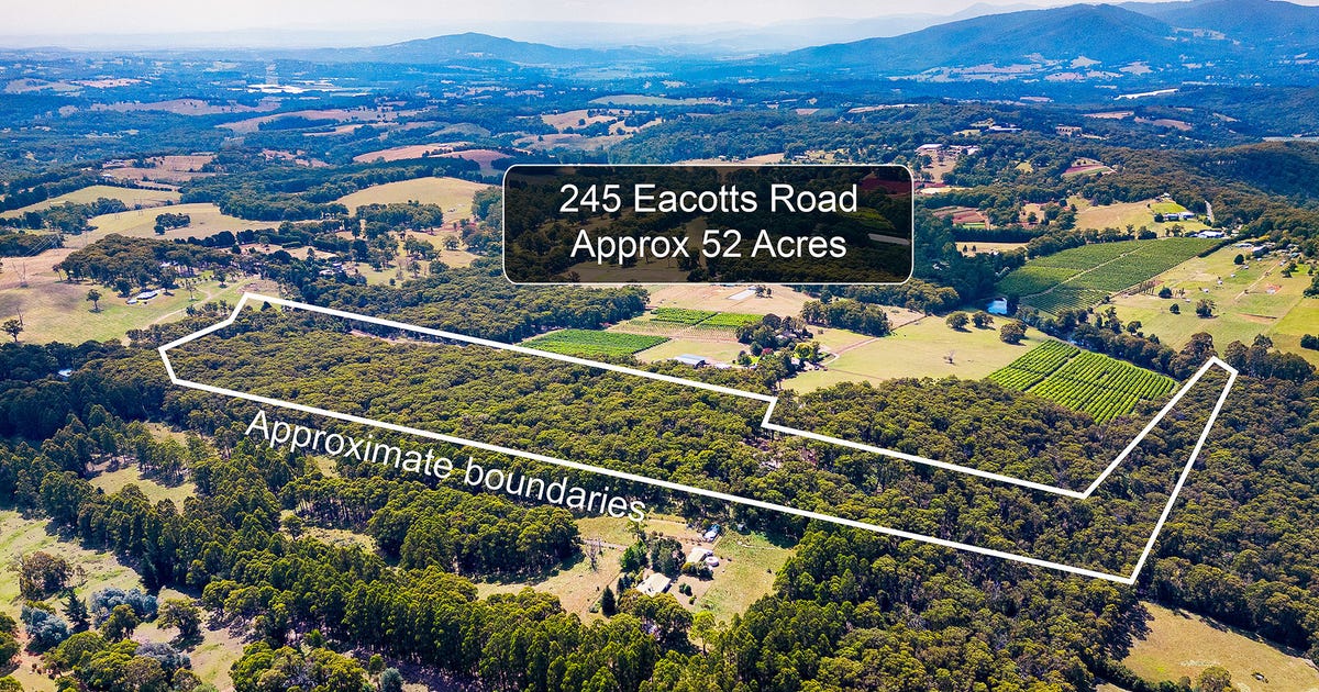 245 Eacotts Road, Hoddles Creek VIC 3139 - property.com.au