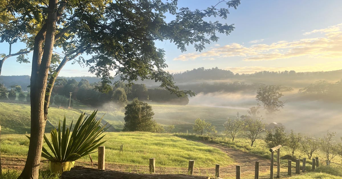 68D Martins Ridge Road, Conjola NSW 2539 - property.com.au