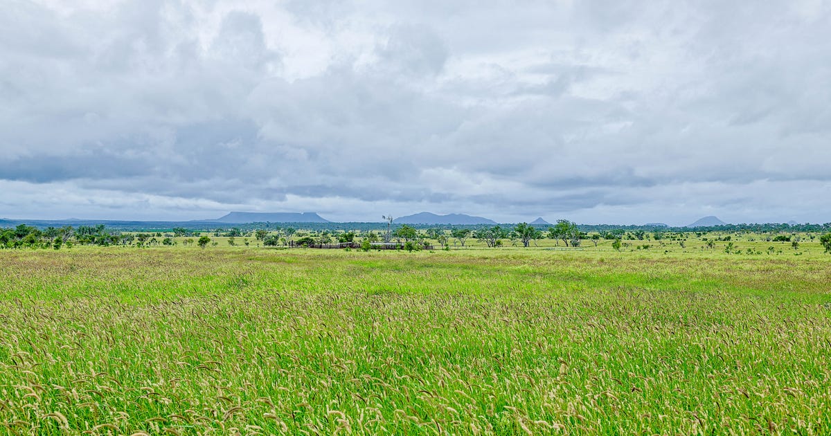 403 Amatunga Road, Cheeseborough QLD 4702 - property.com.au