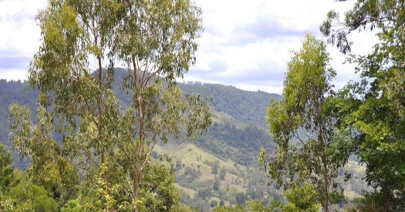 439 Darlington Range Road, Witheren QLD 4275 - property.com.au
