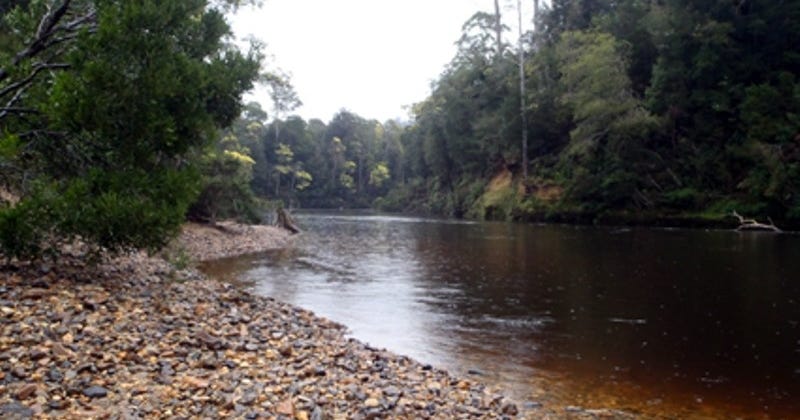 913 Sumac Road, Roger River TAS 7330 - property.com.au