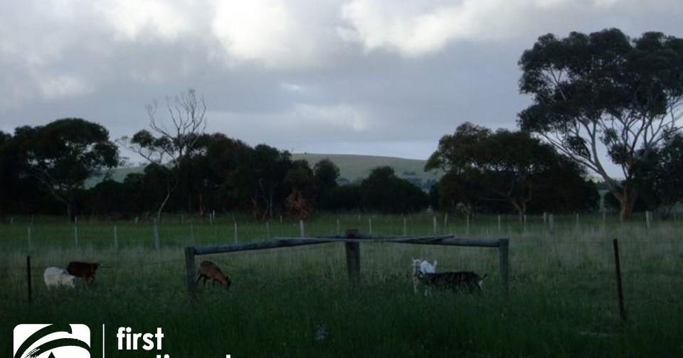 404-412 Black Hill Road, Toolern Vale VIC 3337 - property.com.au