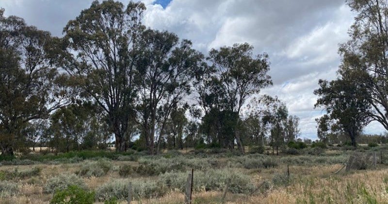 50 Hannah Lane, Gonn Crossing VIC 3579 - property.com.au