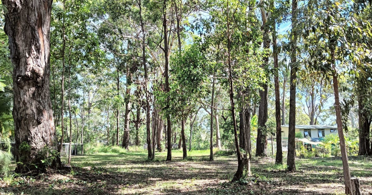 34 Ilumba Street, Russell Island QLD 4184 - property.com.au