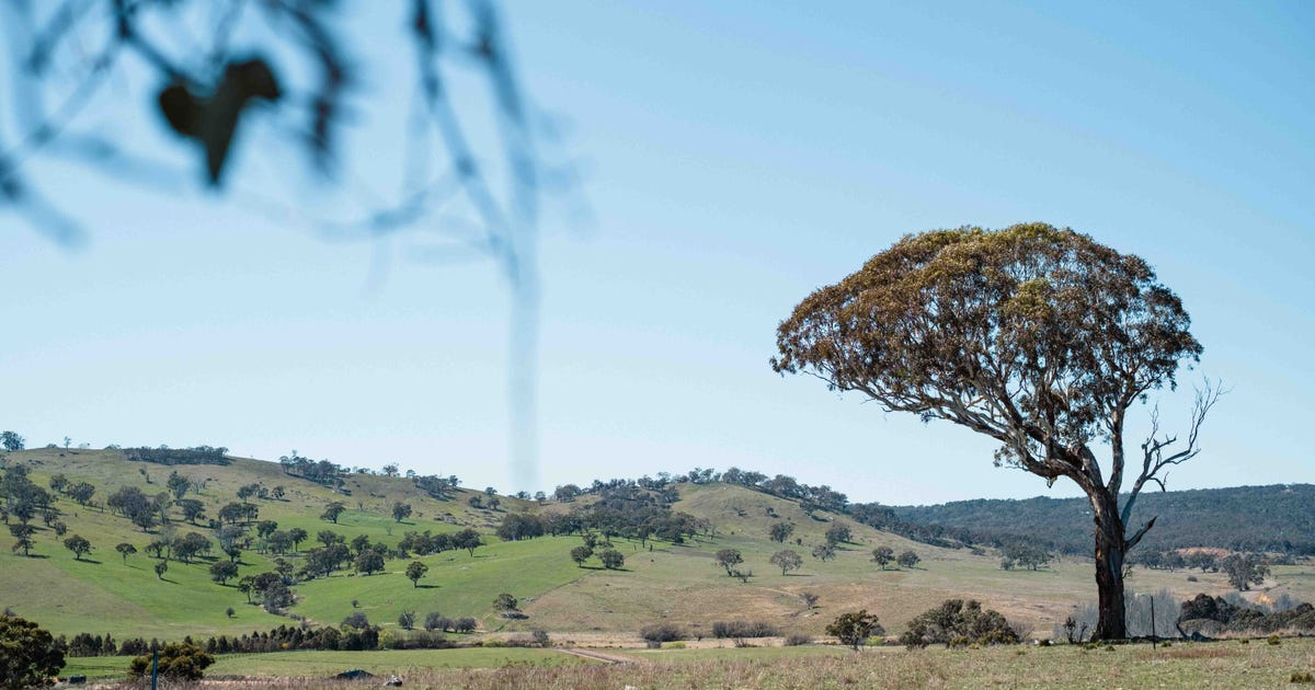 200 Woodbury Drive, Sutton NSW 2620 - property.com.au