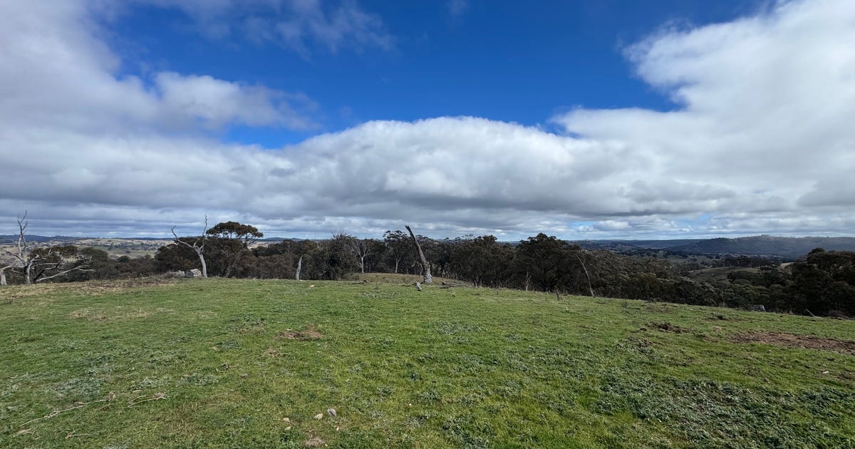 590 Prices Lane, Pyramul NSW 2850 - property.com.au