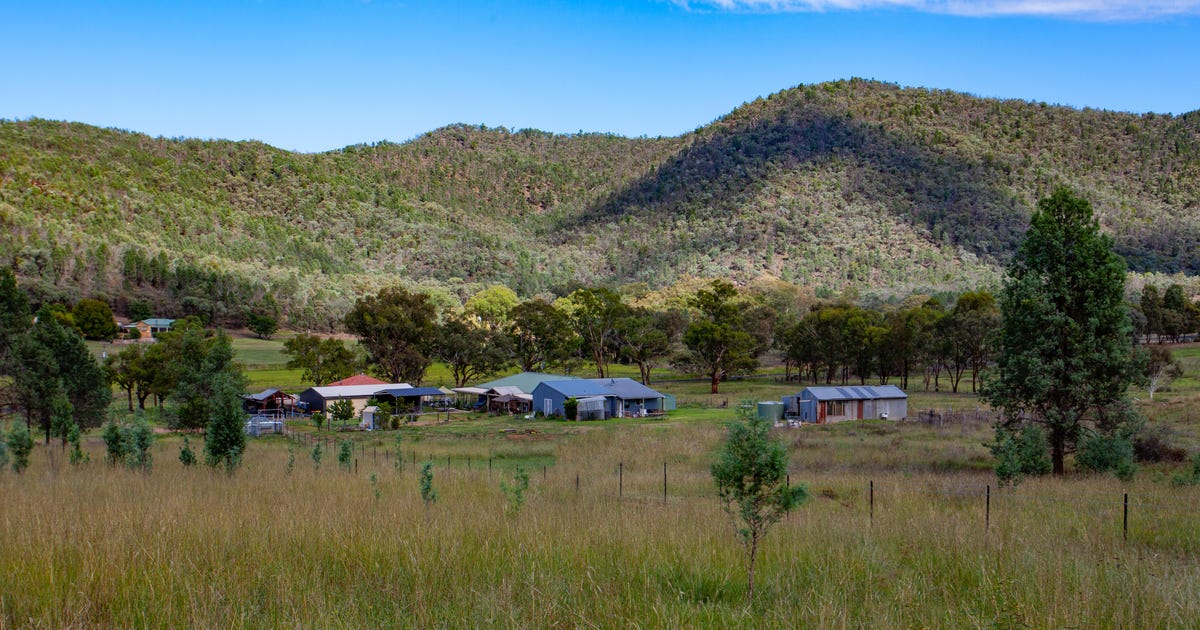 377 Renshaw Mcgirr Way, Mount Arthur NSW 2820 - property.com.au