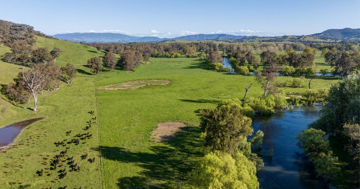 367 Nimbo Road, Killimicat NSW 2720 - property.com.au