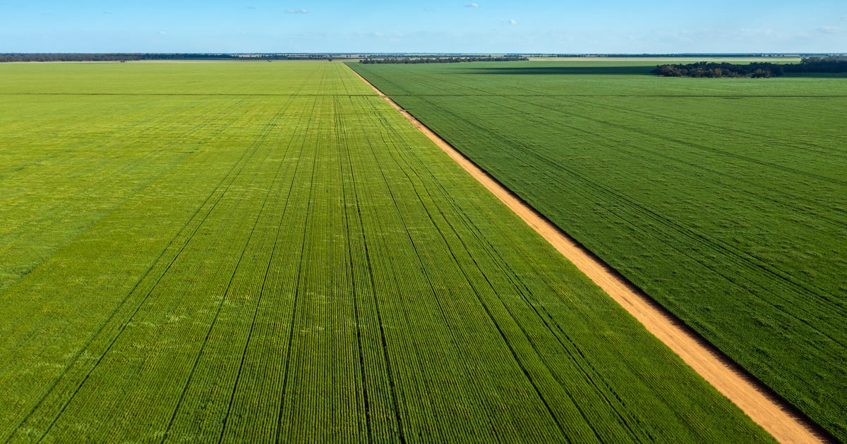 2354 Back Morundah Road, Morundah NSW 2700 - property.com.au