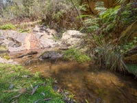 Lots (1,2,3) Niangala Road, Niangala, NSW 2354 - Property Details