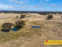 "Pine Ridge" Narangarie Road, Dunedoo, NSW 2844 - Property Details