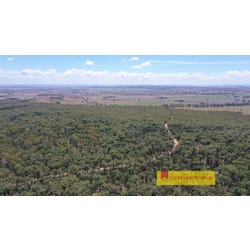 165 Upper Laheys Creek Road, Dunedoo, NSW 2844 - realestate.com.au