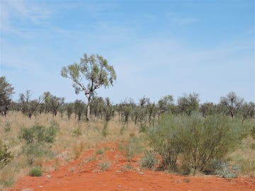Portion 6110 & 6108 Central Australia, Ti Tree, NT 0872 - Property Details