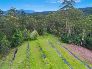 183 Tyalgum Ridge Road, Tyalgum, NSW 2484 - Property Details