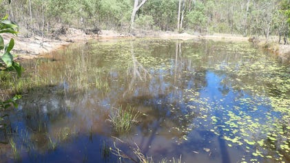 Property and real estate for sale in Pretty Gully, NSW 2469 Pg. 2 ...