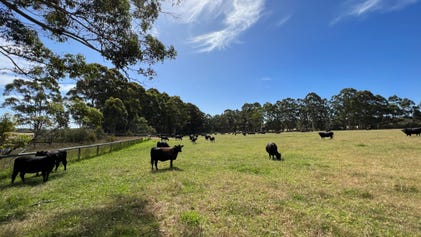 Rural properties for sale in WA Pg. 9 - property.com.au