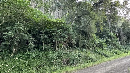 Rural properties for sale in NSW (from $0 - $150,000) - property.com.au