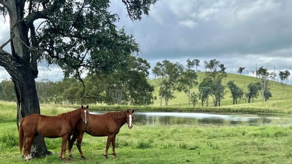 Rural properties for sale in Gympie Greater Region, QLD - property.com.au