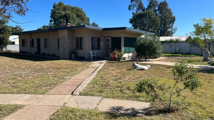 Property and real estate for sale in Lightning Ridge, NSW 2834 ...