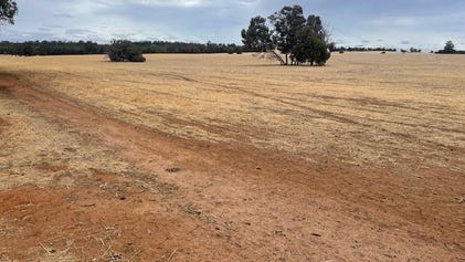 Property and real estate for sale in Kojonup, WA 6395 - property.com.au