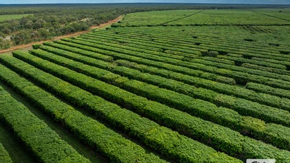 Rural properties for sale in NT Pg. 2 - property.com.au