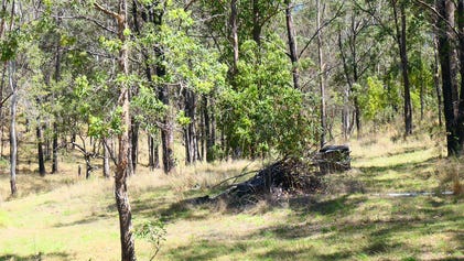 Property and real estate for sale in Pretty Gully, NSW 2469 Pg. 2 ...