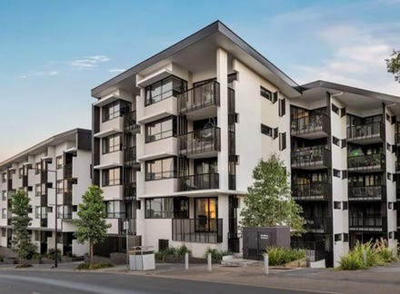 11 Peter Doherty Street, Dutton Park, QLD 4102 - realestate.com.au