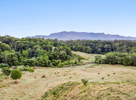274 Mount Burrell Road, Mount Burrell, NSW 2484 - realestate.com.au