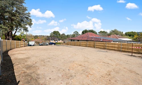 Adam Noakes - Stone Real Estate - Hornsby - realestate.com.au