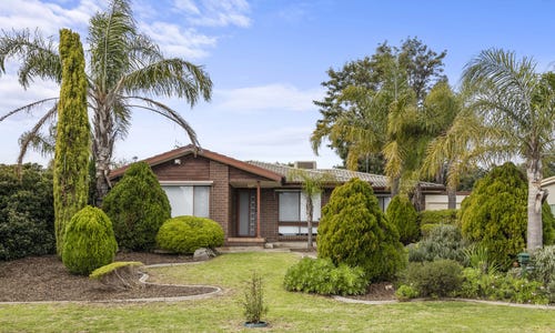 Rachel Lawrie - Ray White - North Adelaide - Sales RLA281212 Rentals ...