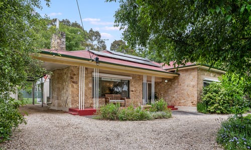 Sam George - Noakes Nickolas - Adelaide - realestate.com.au