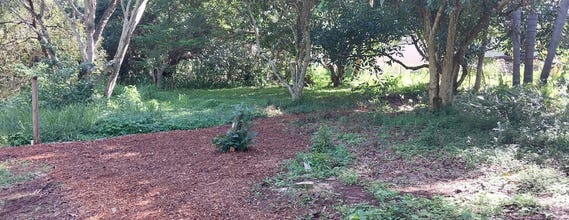 3 Beryl Street, Russell Island QLD 4184 - property.com.au