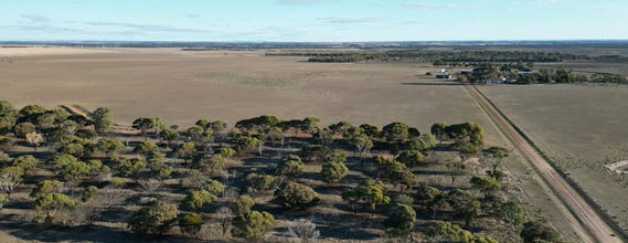 1199 Range Road, Pingrup WA 6343 - property.com.au