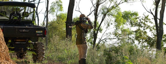 466 Glenhowden Road, Colinton QLD 4314 - property.com.au