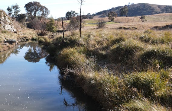 1562 Lower Lewis Ponds Road, Lower Lewis Ponds NSW 2800 - property.com.au